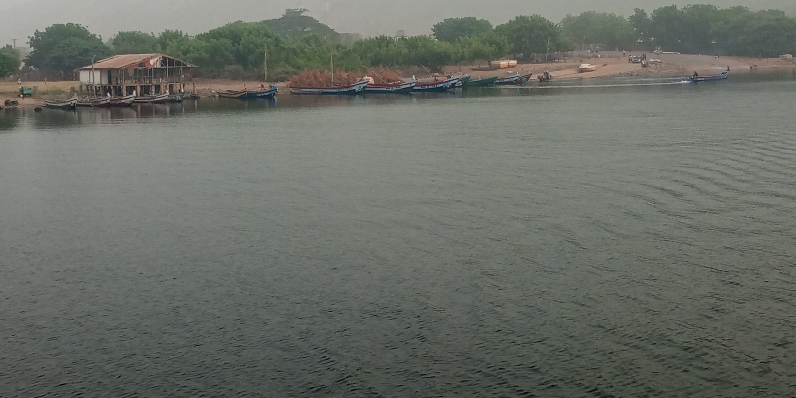 How soap, worms (earthworm) and snails are used as a bait in fishing ...