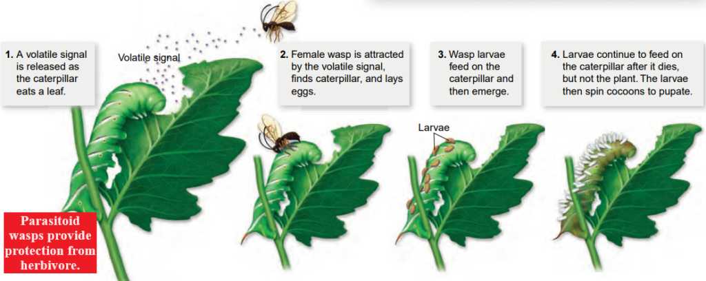How Plants Defend Themselves Against Pathogens and Herbivores ...